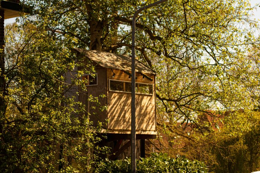 10 Minimalist Treehouses for Eco-Conscious Living - Thetreehousenest